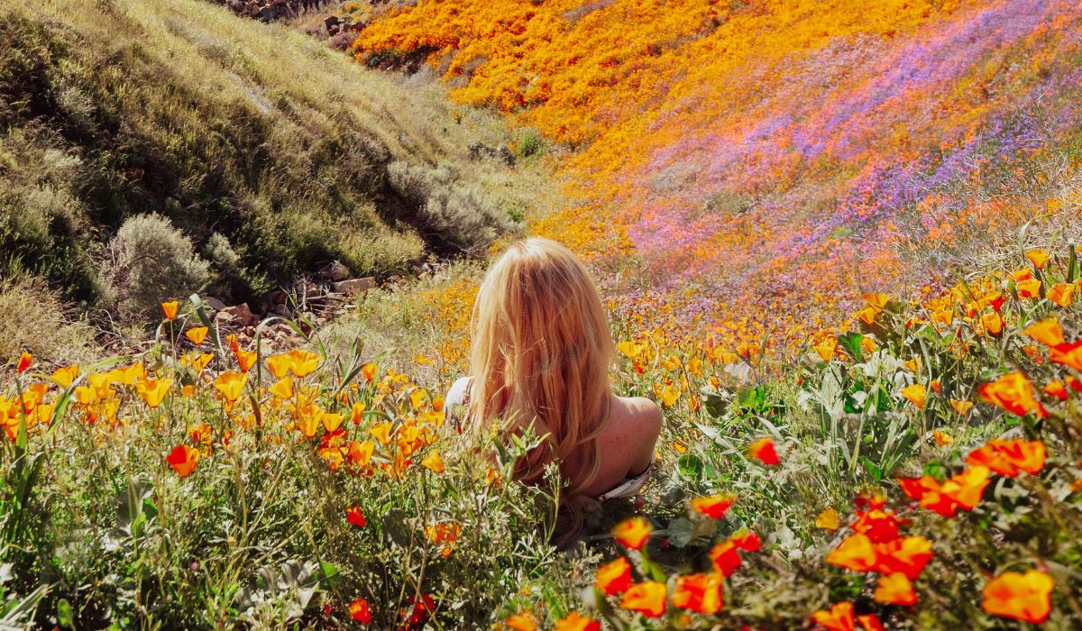 3 Ways to Use Your Imagination for Personal Growth | Soul Sessions Podcast